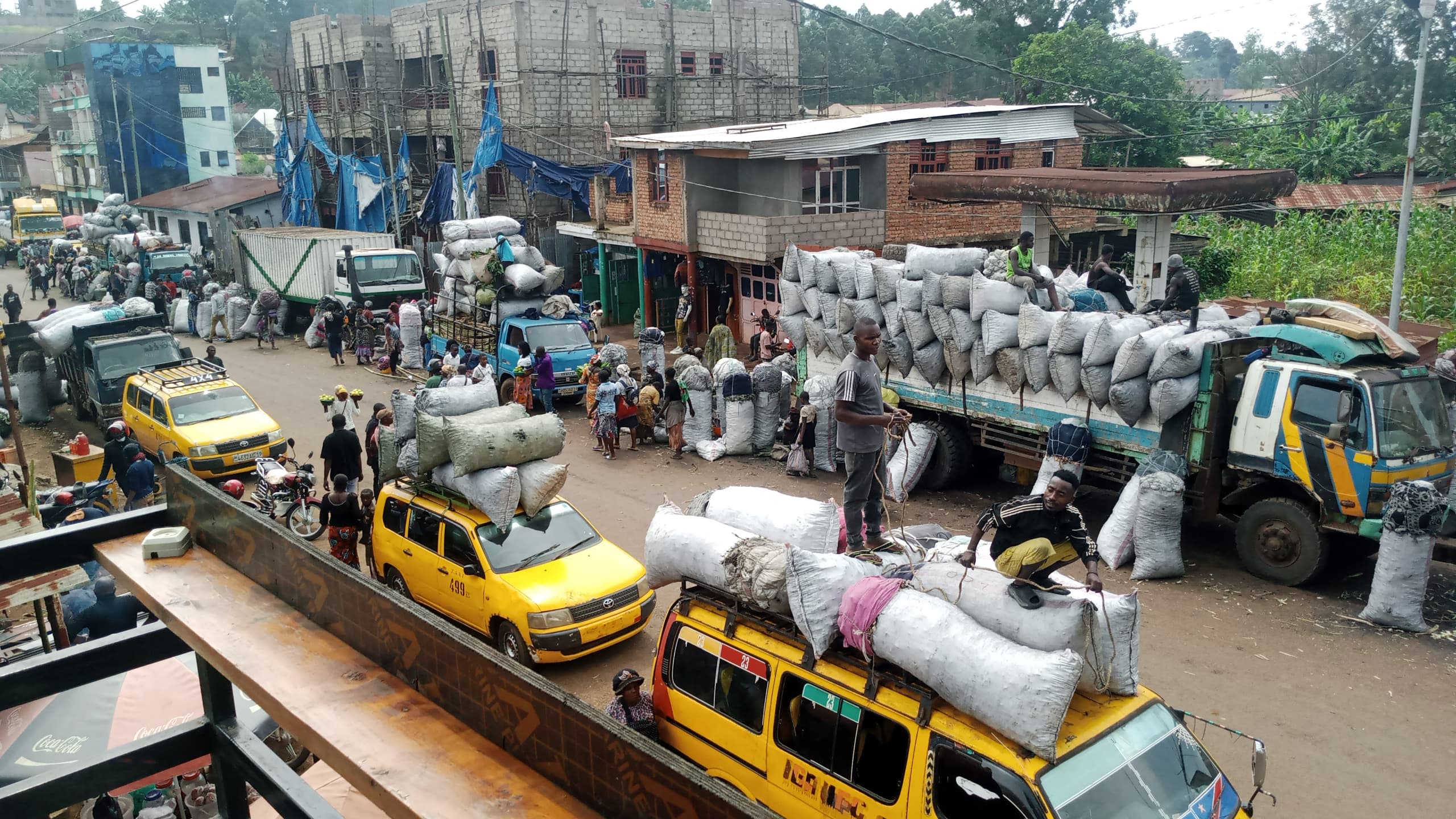 Sud-Kivu : la déforestation du PNKB s’accélère sous le poids de la ...